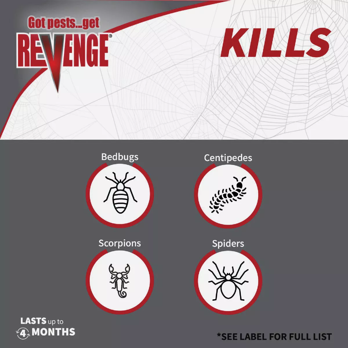 REVENGE 128 Oz. Ready To Use Trigger Spray Spider Killer | Do it Best