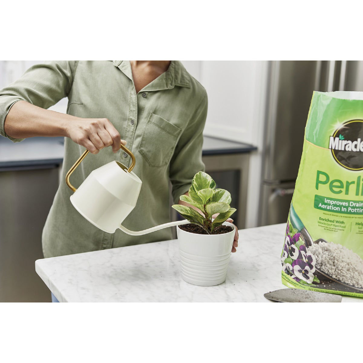 Miracle-Gro Perlite | Do it Best