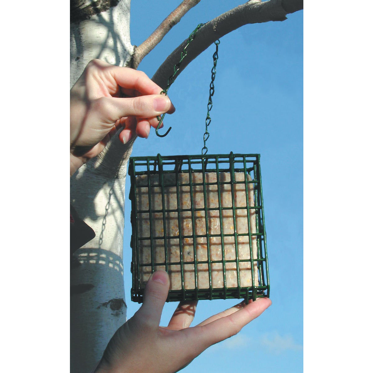 Stokes Select Green 1-Cake Steel Suet Feeder | Do it Best