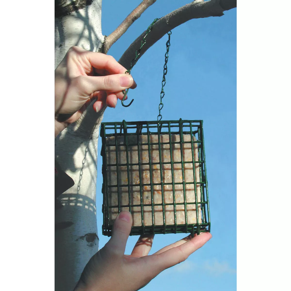 Stokes Select Green 1-Cake Steel Suet Feeder | True Value Hardware