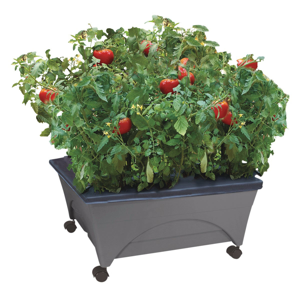 City Pickers 20 In. W. x 11 In. H. x 24 In. L. Slate Polyethylene ...