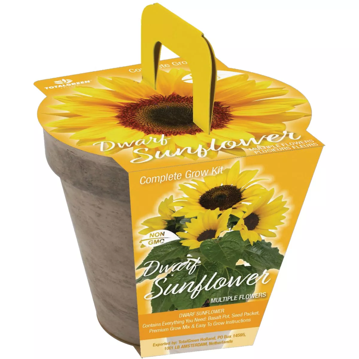 TotalGreen Holland Dwarf Sunflower Grow Kit | Do it Best