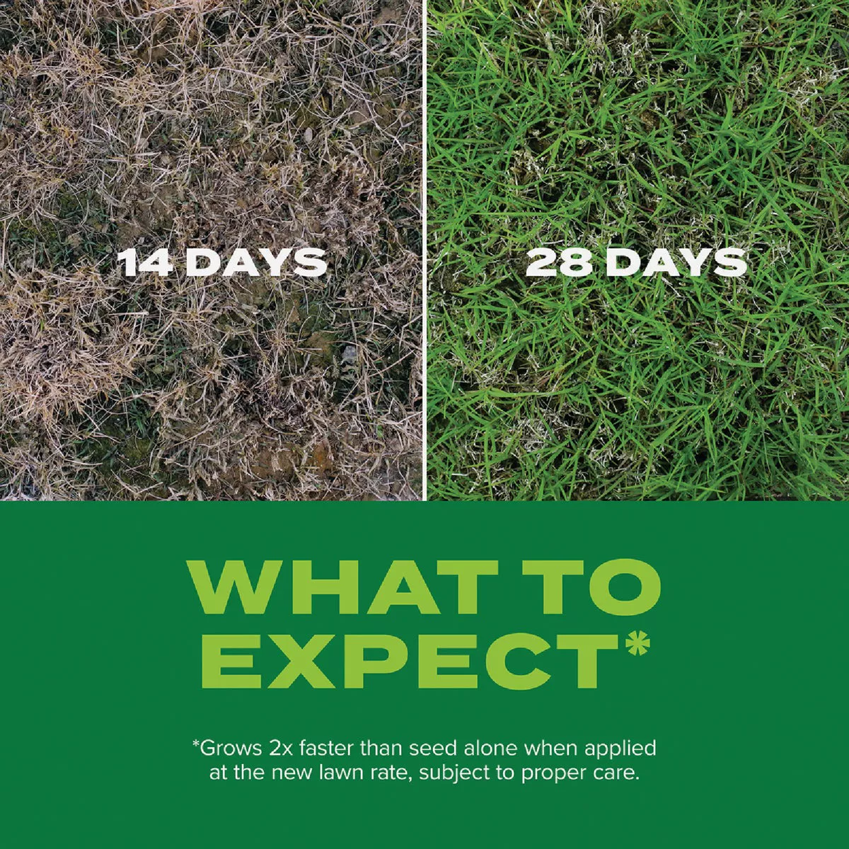 Scotts Turf Builder Rapid Grass 4 Lb. 1498 Sq. Ft. Bermudagrass Seed ...
