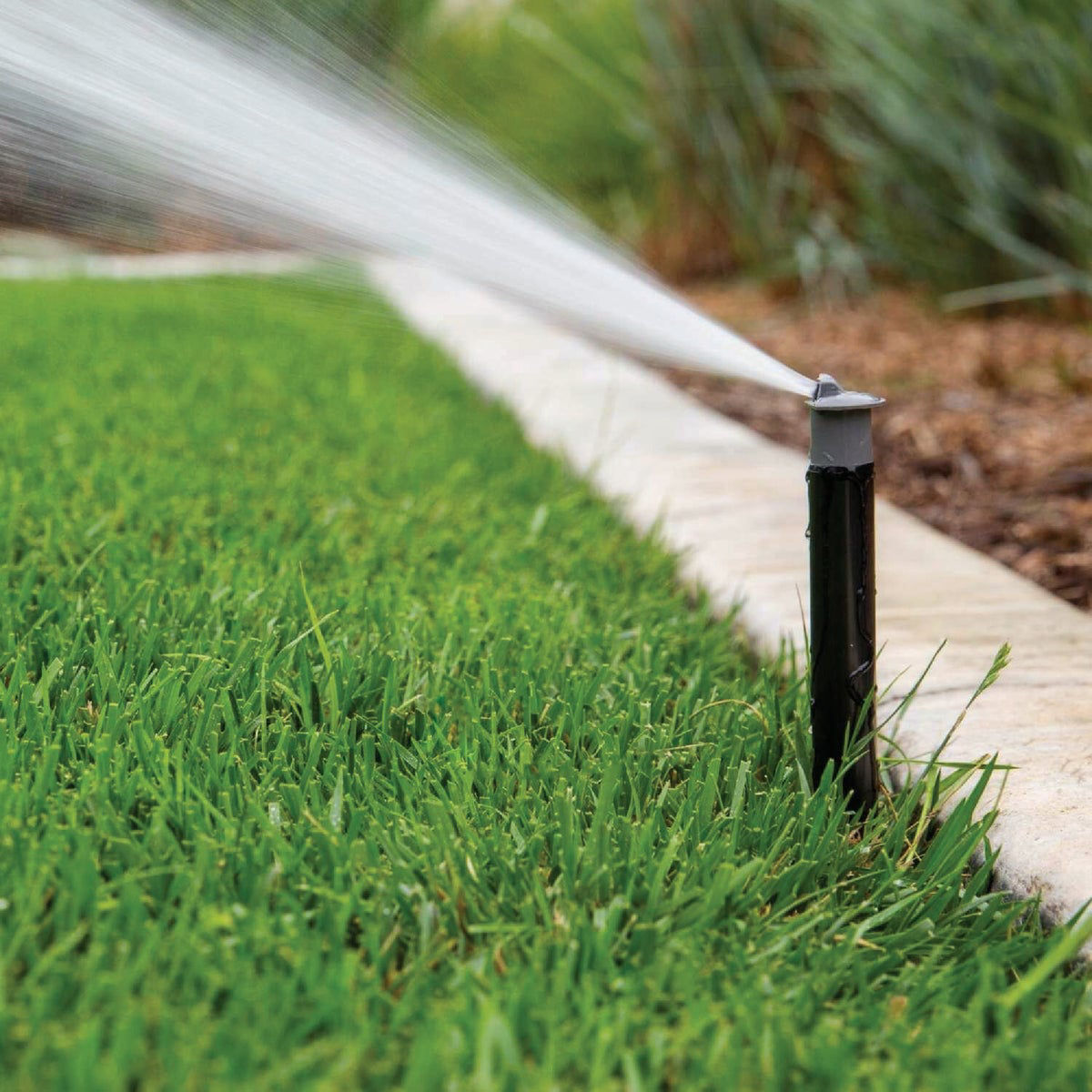 Hunter Pro-Spray 4 In. Pressure Regulated Sprinkler | Do it Best