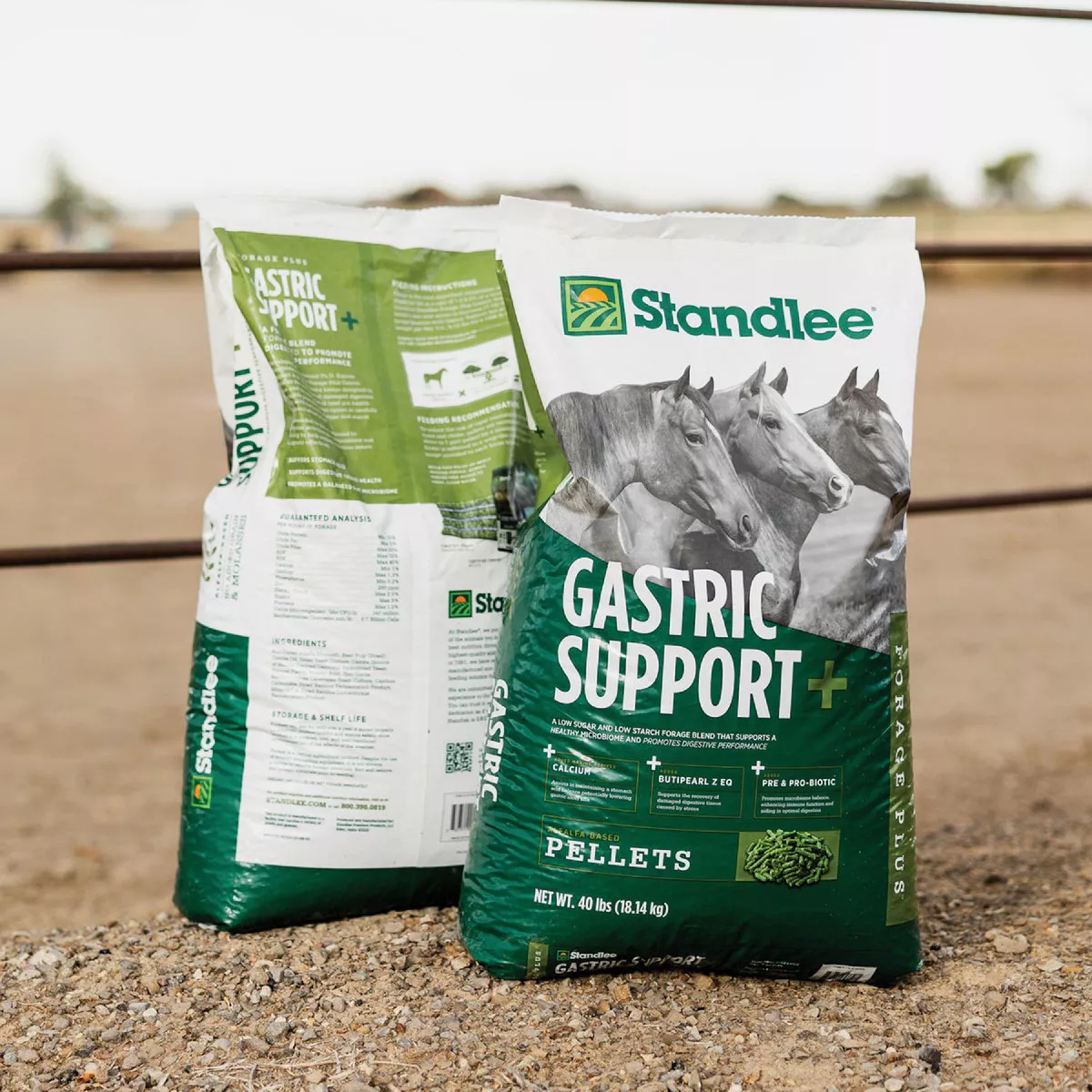 Standlee Forage Plus 40 Lb. Gastric Support Pellets Horse Feed | Do it Best