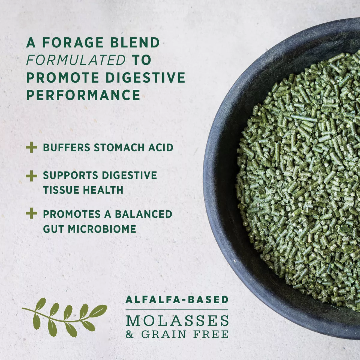 Standlee Forage Plus 40 Lb. Gastric Support Pellets Horse Feed | Do it Best