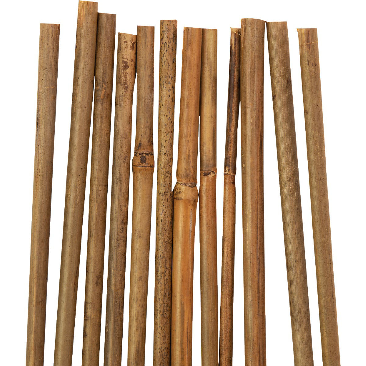 Gardener's Blue Ribbon 4 Ft. Bamboo Plant Stake (12-Pack) | Do it Best