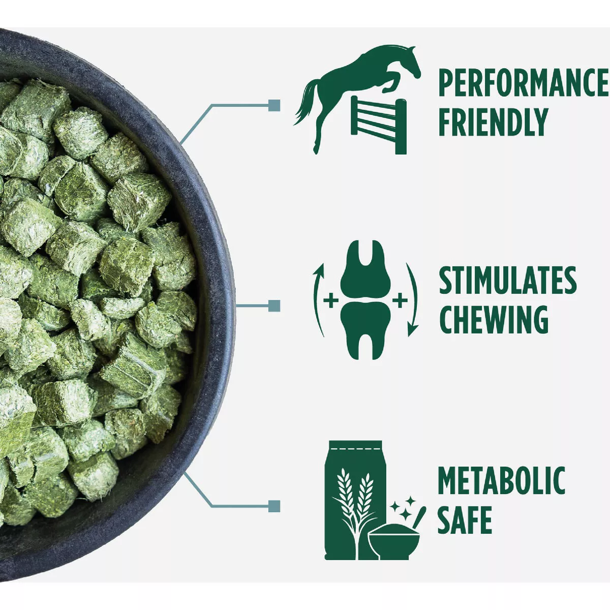 Standlee Premium Western Forage 40 Lb. Alfalfa & Timothy Cubes | Do it Best