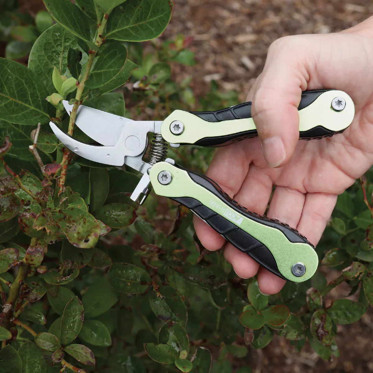 AccuSharp Gardener's Multi-Tool | Do it Best