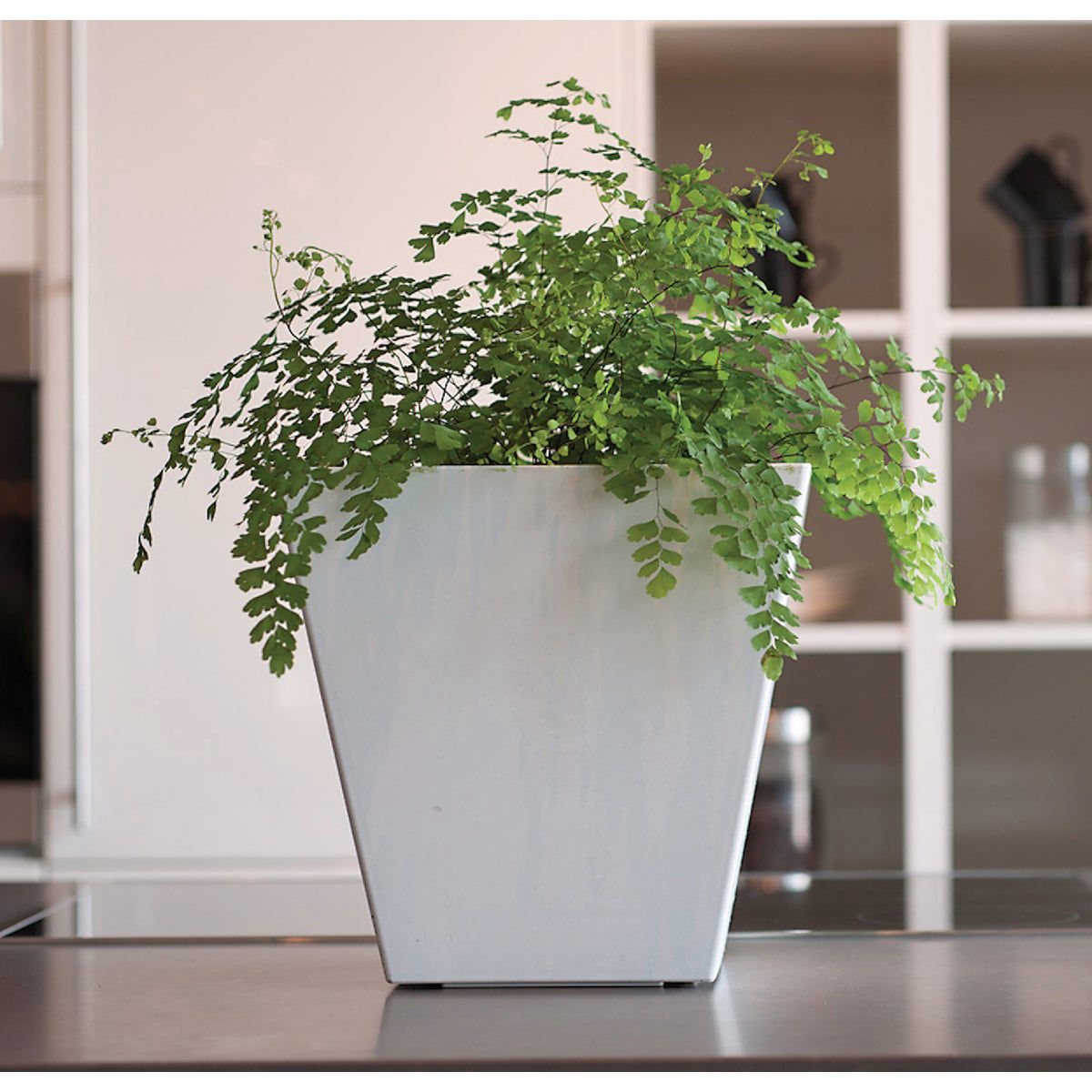 Novelty ArtStone Ella 12 in. W. x 12 in. H. x 12 in. L. x White Resin ...