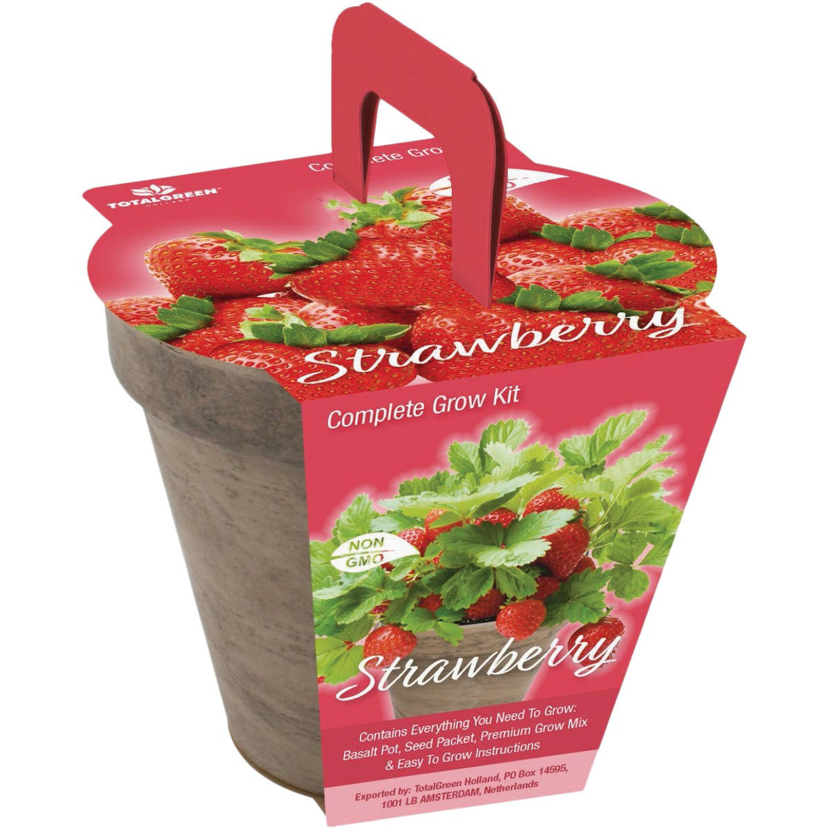 TotalGreen Holland Strawberry Grow Kit | Do it Best