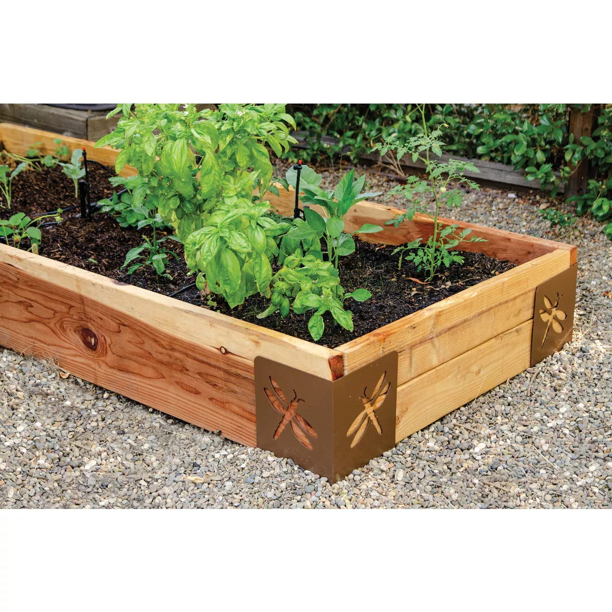 Bloom Instabrace Brown Steel Dragonfly Raised Garden Bed Bracket (4 ...