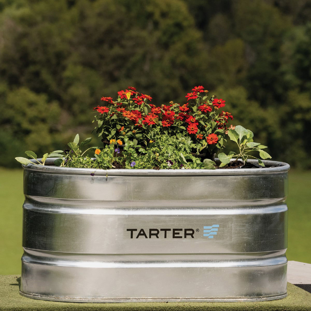 Tarter 100 Gal. Zinc-Coated Steel Galvanized Stock Tank | Do it Best