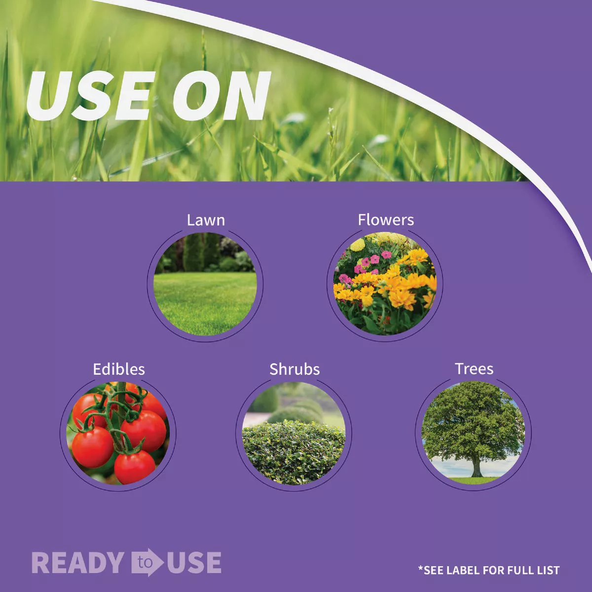 Bonide Eight 16 Oz. Concentrate Insect Control Vegetable, Fruit ...