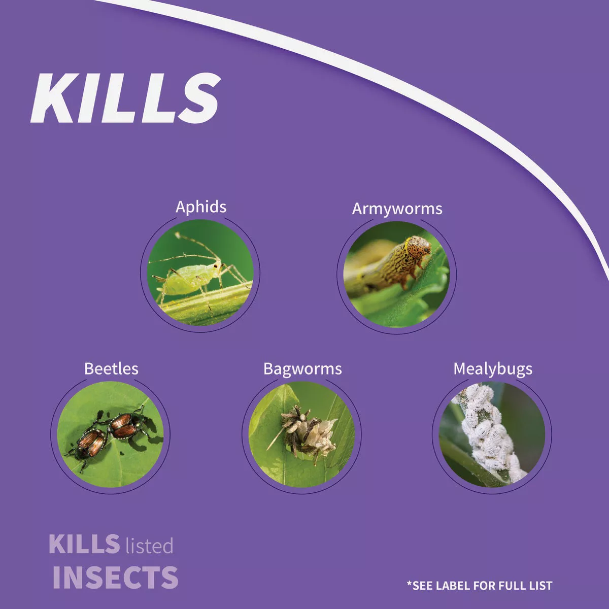 Bonide Eight 16 Oz. Concentrate Insect Control Vegetable, Fruit ...