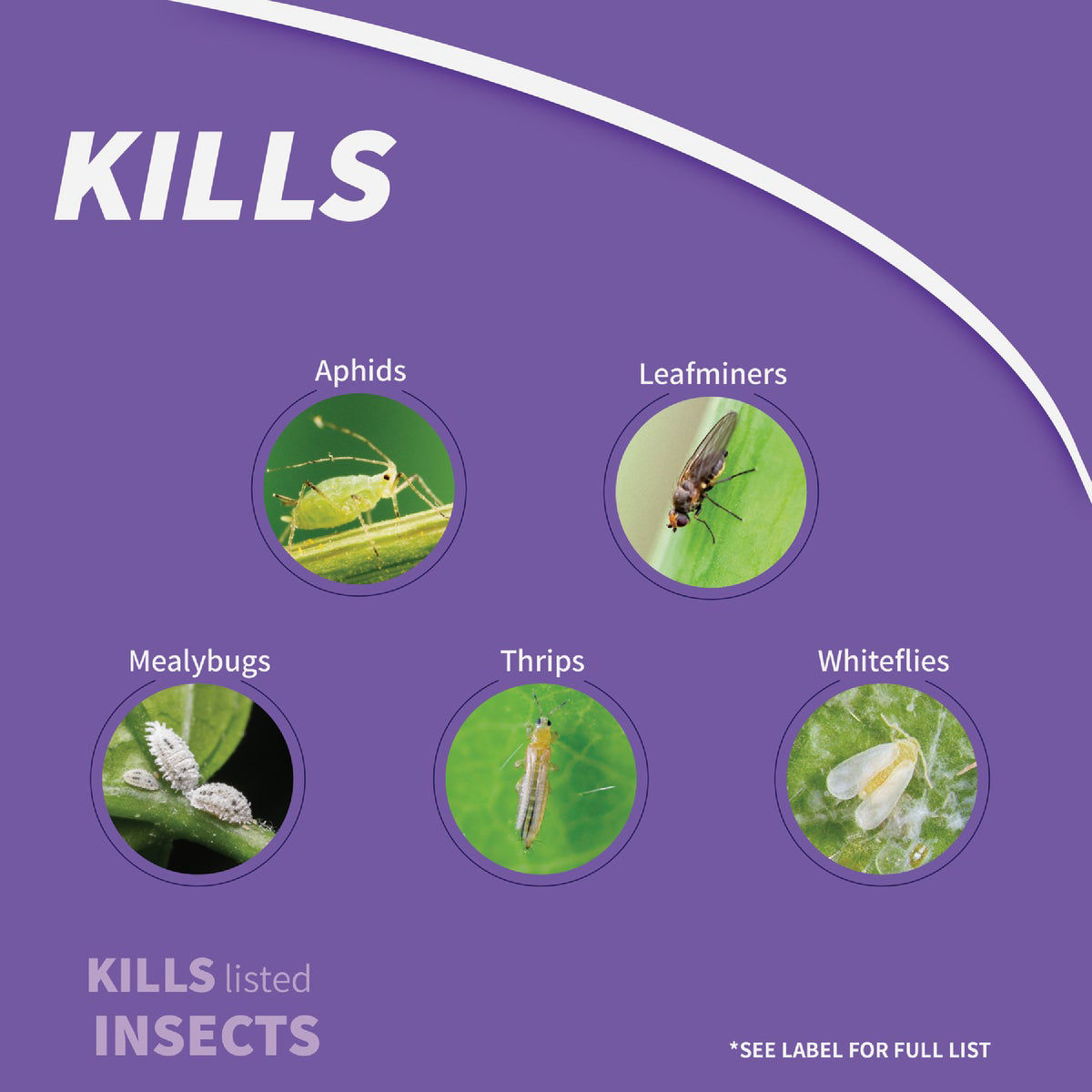 Bonide 8 Oz. Ready To Use Granules Systemic Houseplant Insect Control ...