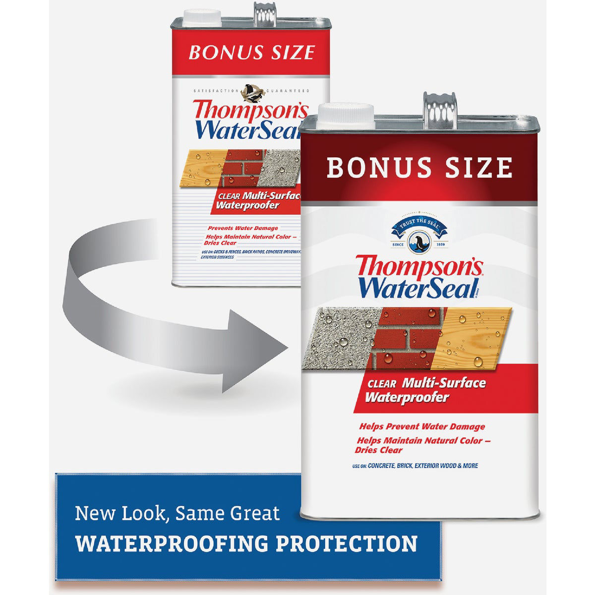 Thompsons WaterSeal Clear VOC MultiSurface Waterproofing Sealer, 1.2 ...