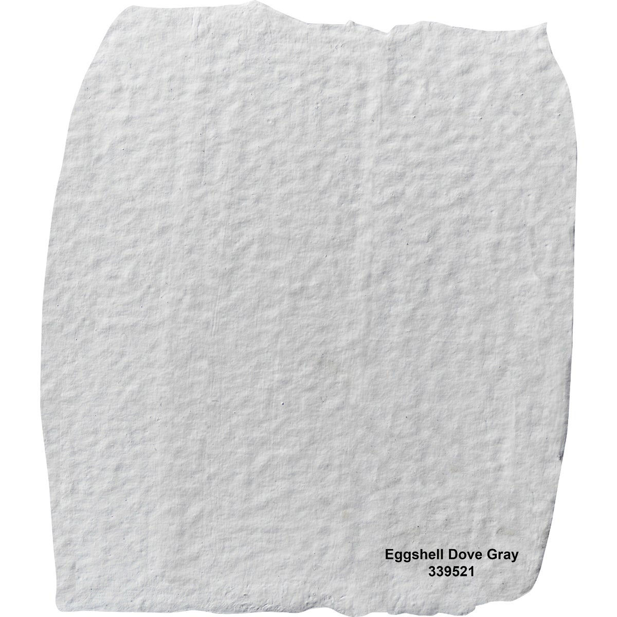 Rust-Oleum Sure Color Eggshell Dove Gray Interior Wall Paint and Primer ...