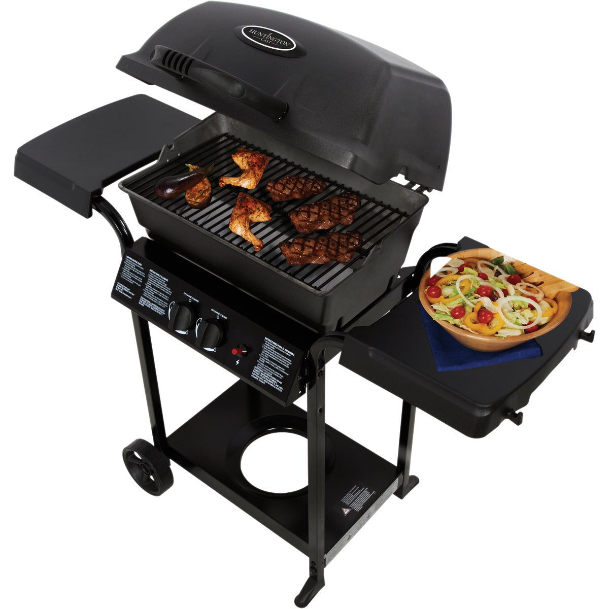 Huntington 2-Burner Black 25,000 BTU LP Gas Grill | Do it Best