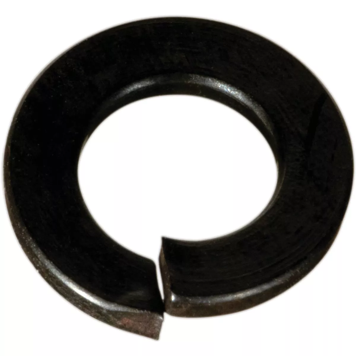 Midwest Fastener 6mm x 12mm Plain Class 10 Steel Lock Washers (16 Ct ...