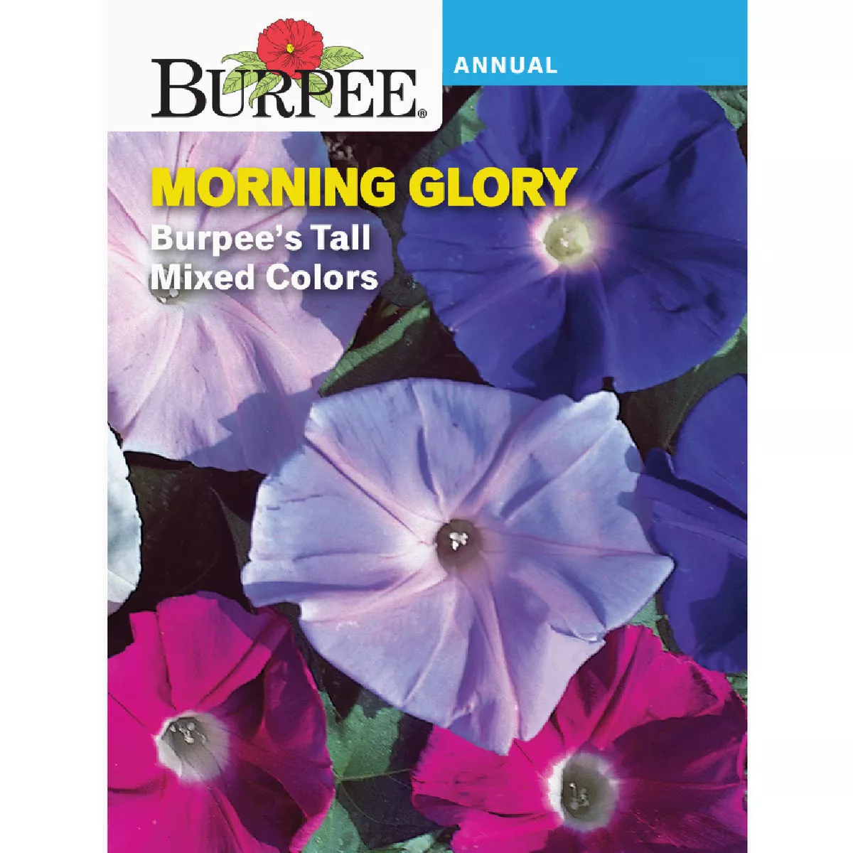 Burpee Heirloom Morning Glory Burpee's Tall Mixed Colors Seed Packet ...