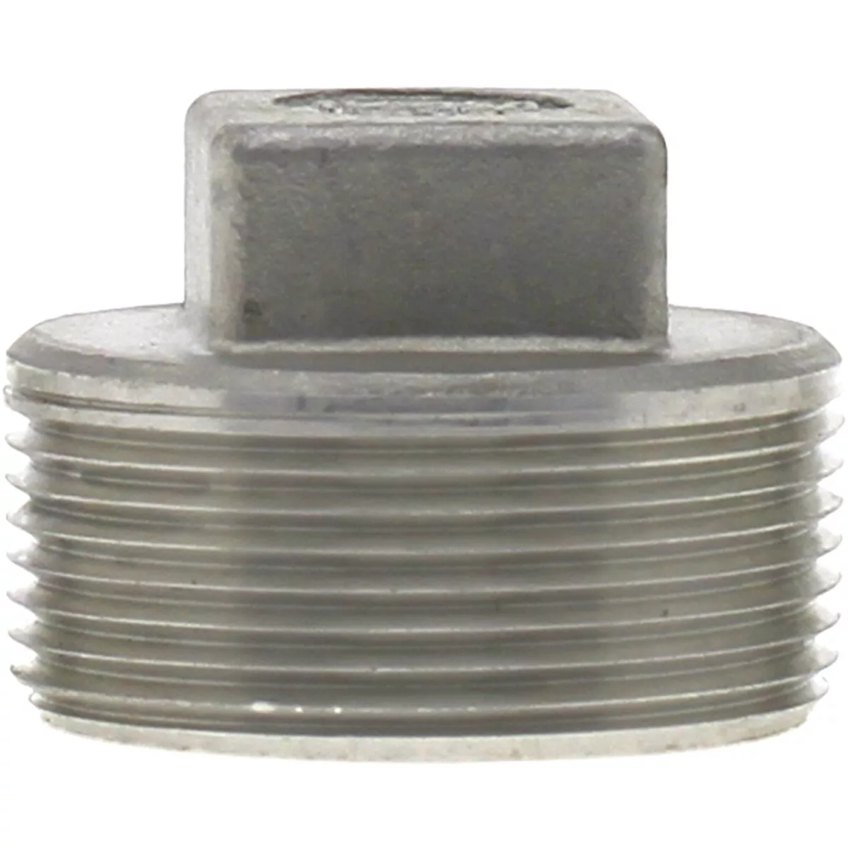 PLUMB-EEZE 1-1/2 In. MIP Square Head Stainless Steel Plug | True Value ...